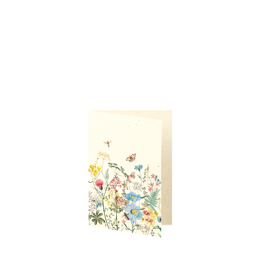 RÖSSLER Coloretti Kuverts + Karten B6 Wiesenblumen je 4 Stück zum Top-Preis