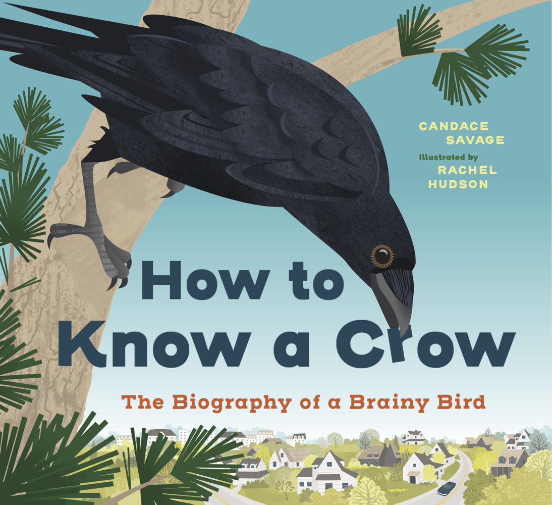 Candace Savage: How to Know a Crow - gebunden » Buch