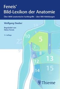 Wolfgang Dauber - Feneis´ Bild-Lexikon der Anatomie » Buch