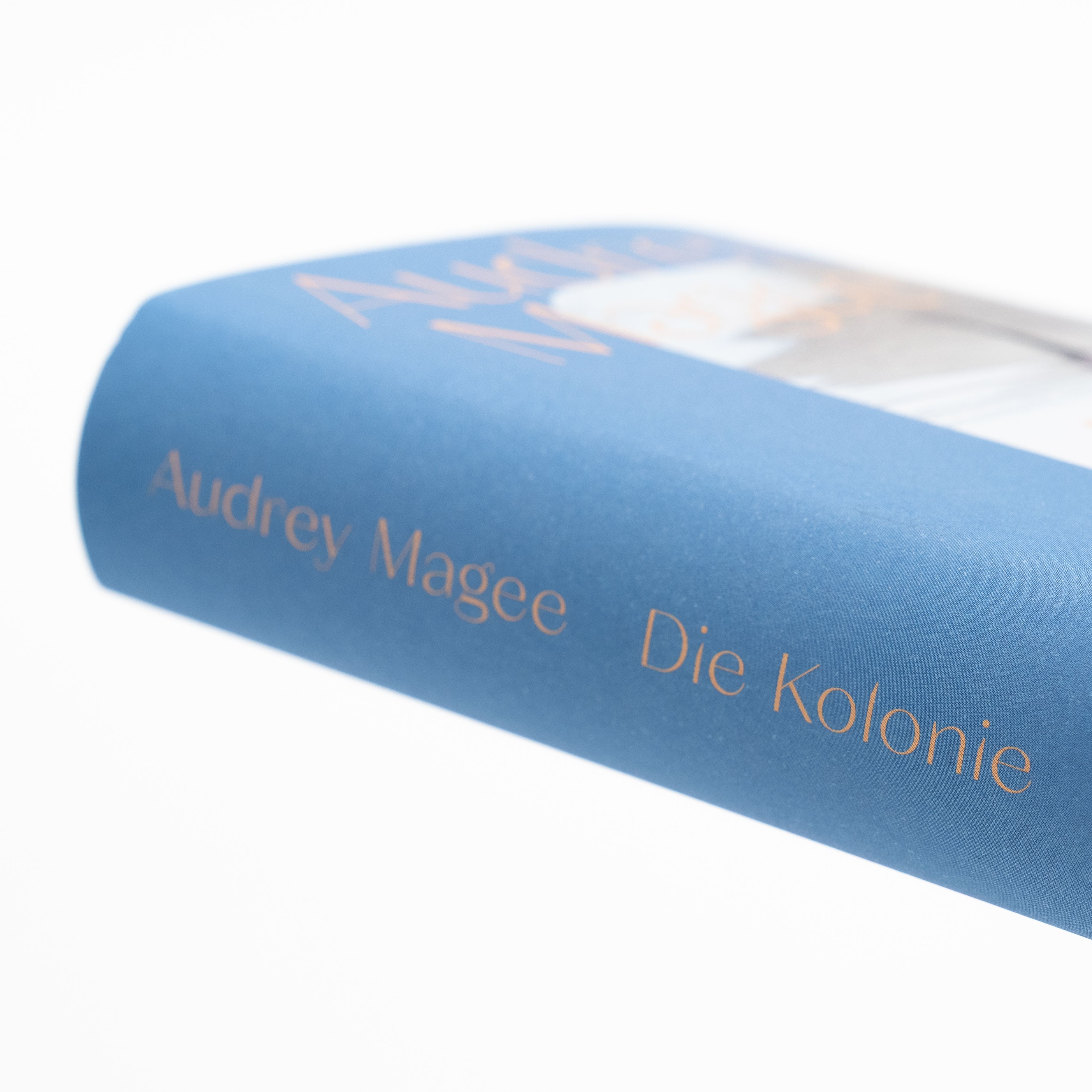 Audrey Magee: Die Kolonie - gebunden » Buch