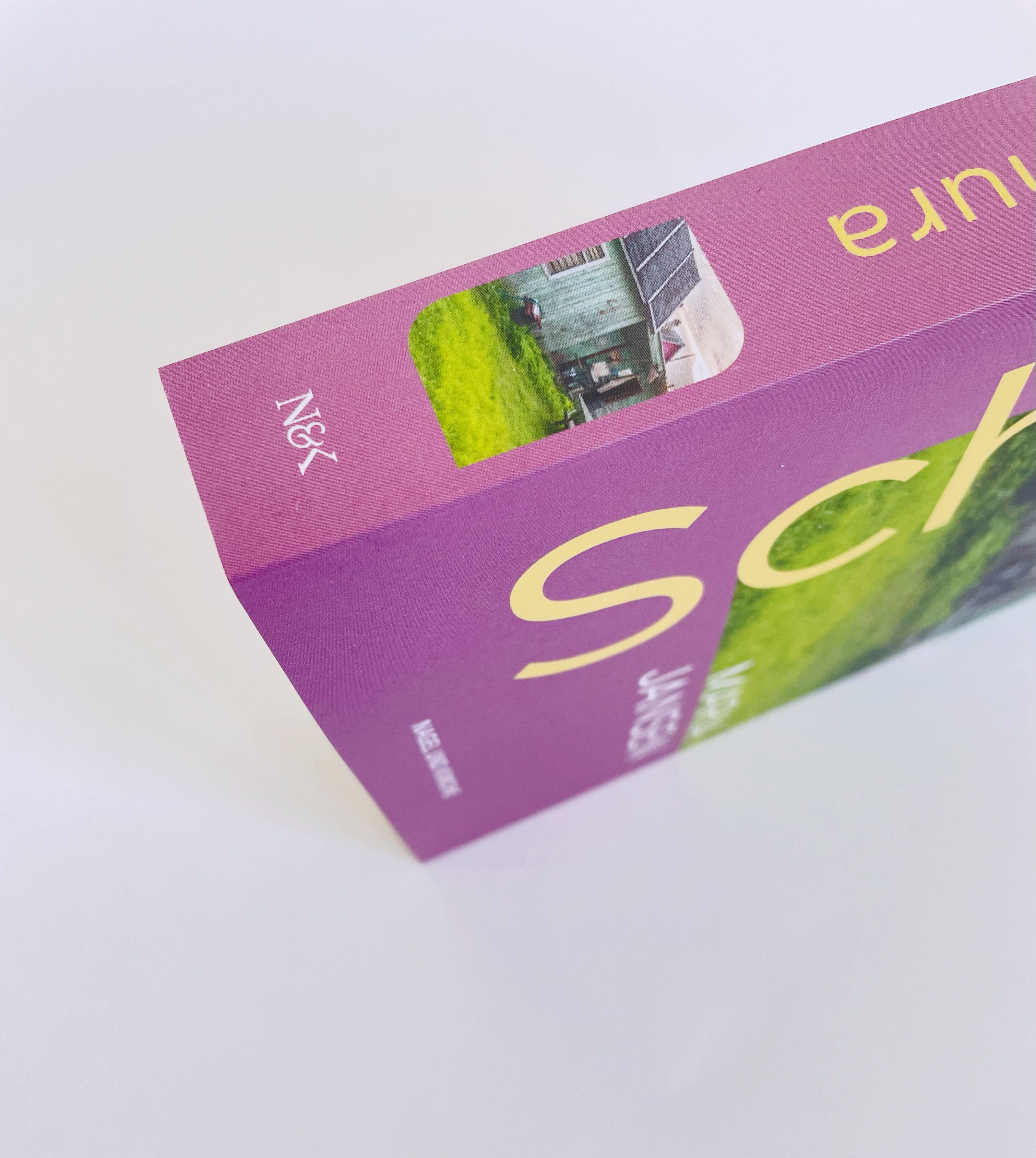 Maria Jansen: Schura - Taschenbuch » Buch
