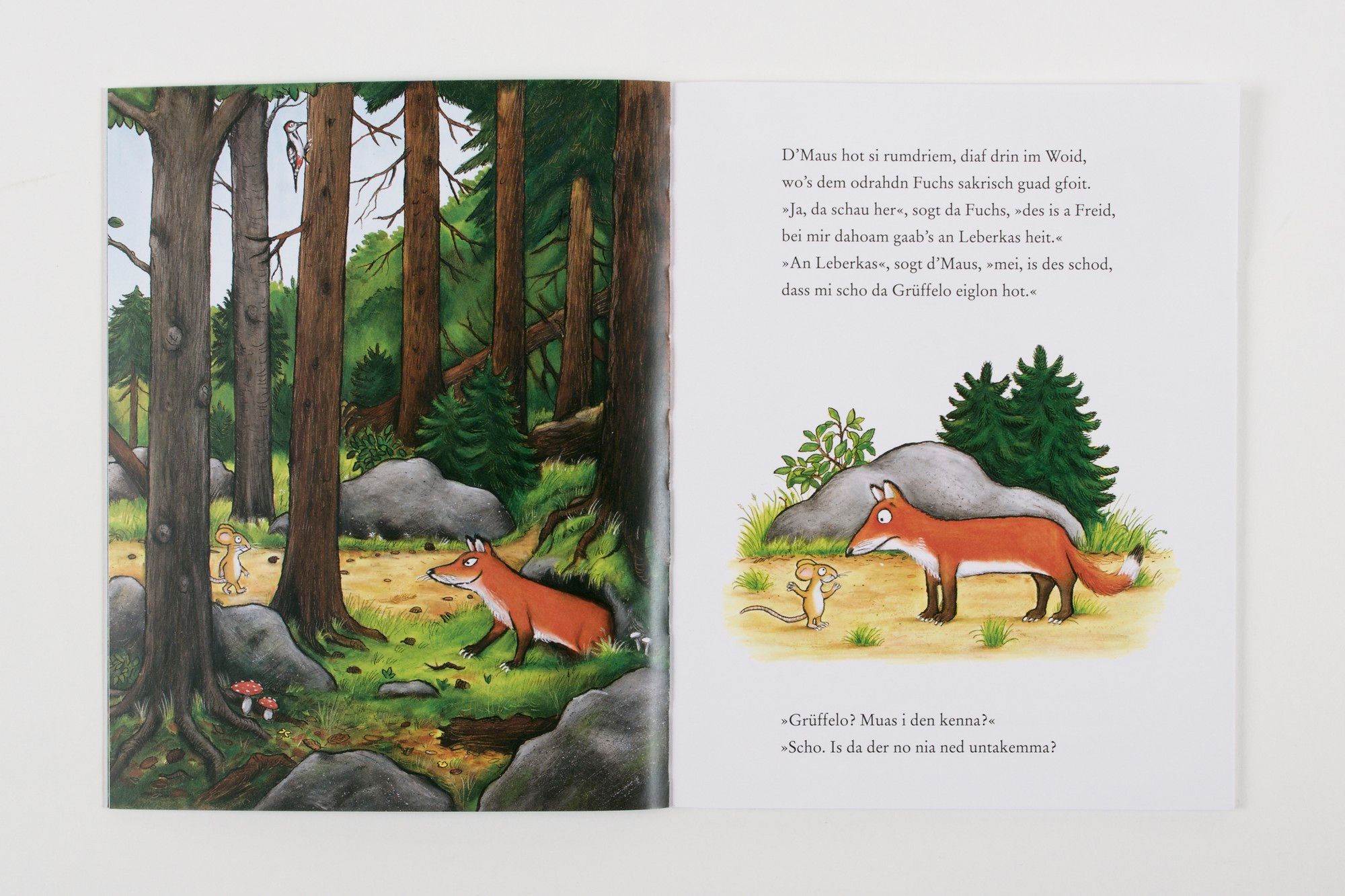 Axel Scheffler - Da Grüffelo » Buch