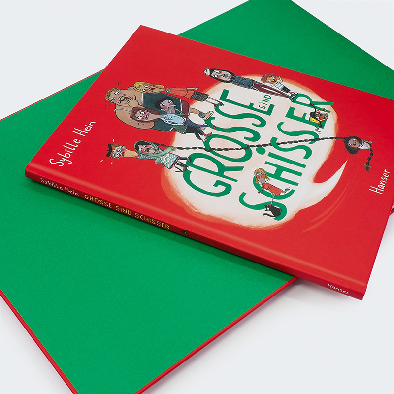 Sybille Hein - Große sind Schisser » Buch