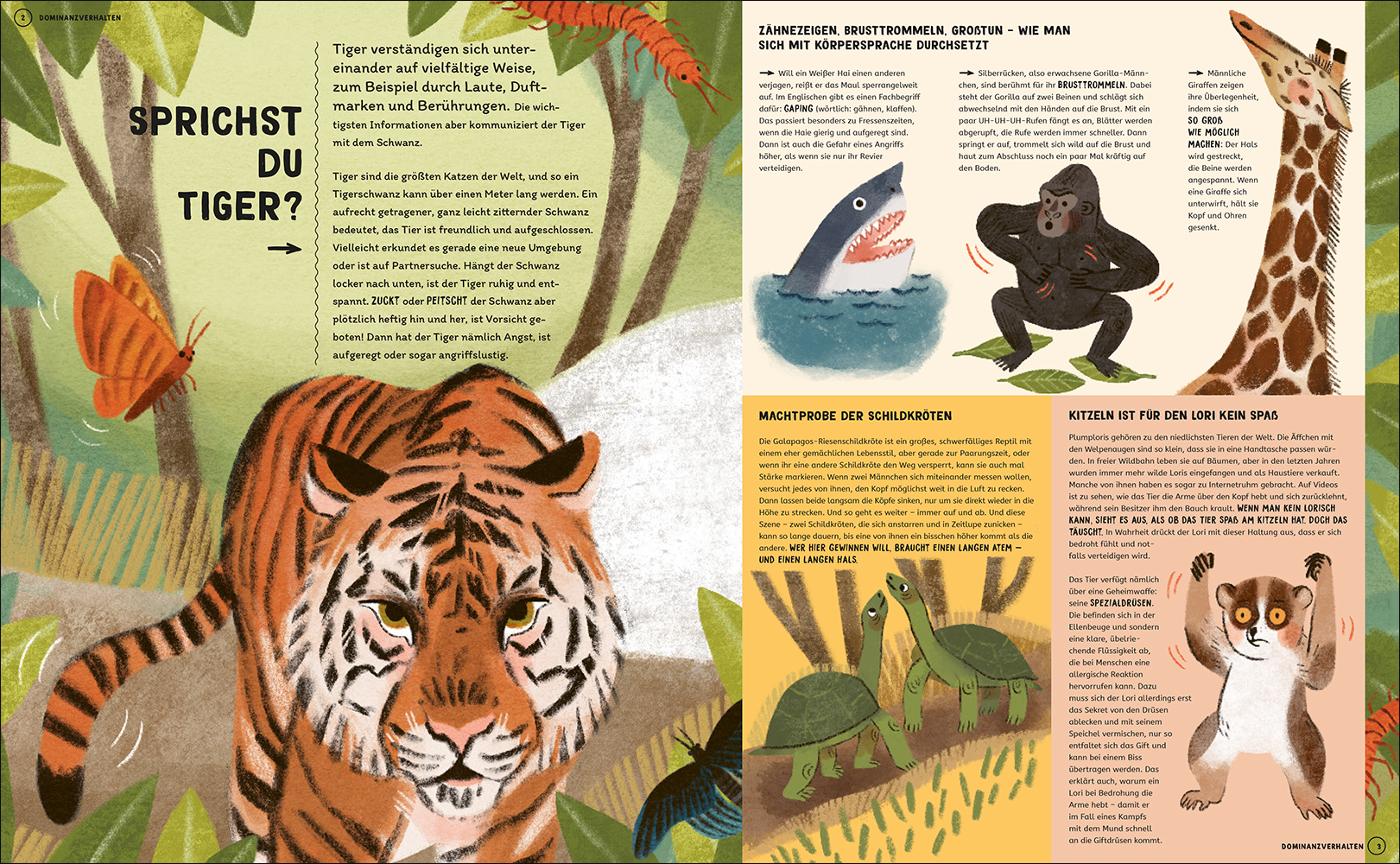 Jason Bittel - Wie man mit Tigern spricht,How to Talk to a Tiger ...