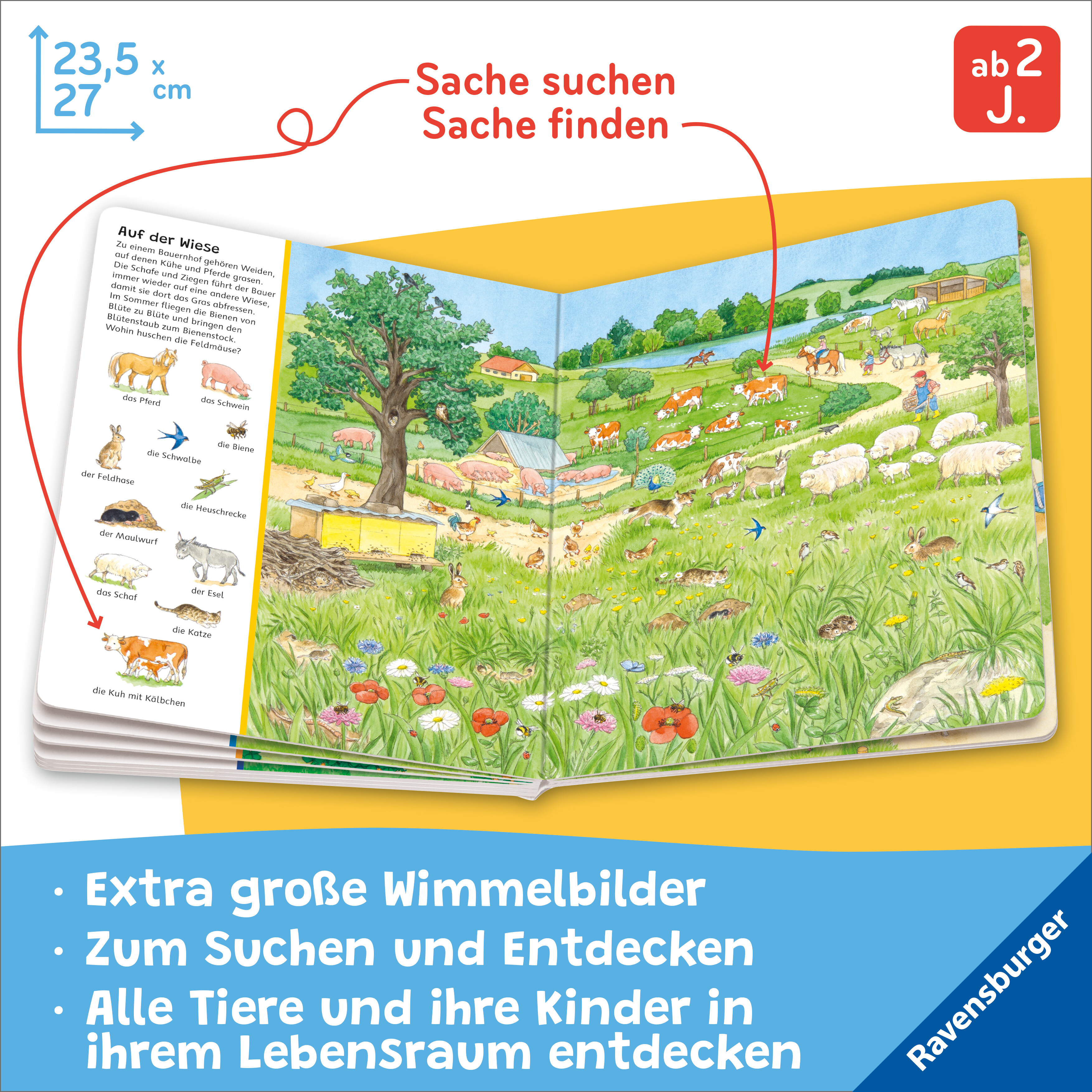 - Mein großes Sachen suchen: Alle Tiere der Welt » Buch