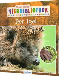 Valérie Tracqui - Meine große Tierbibliothek: Der Igel » Buch