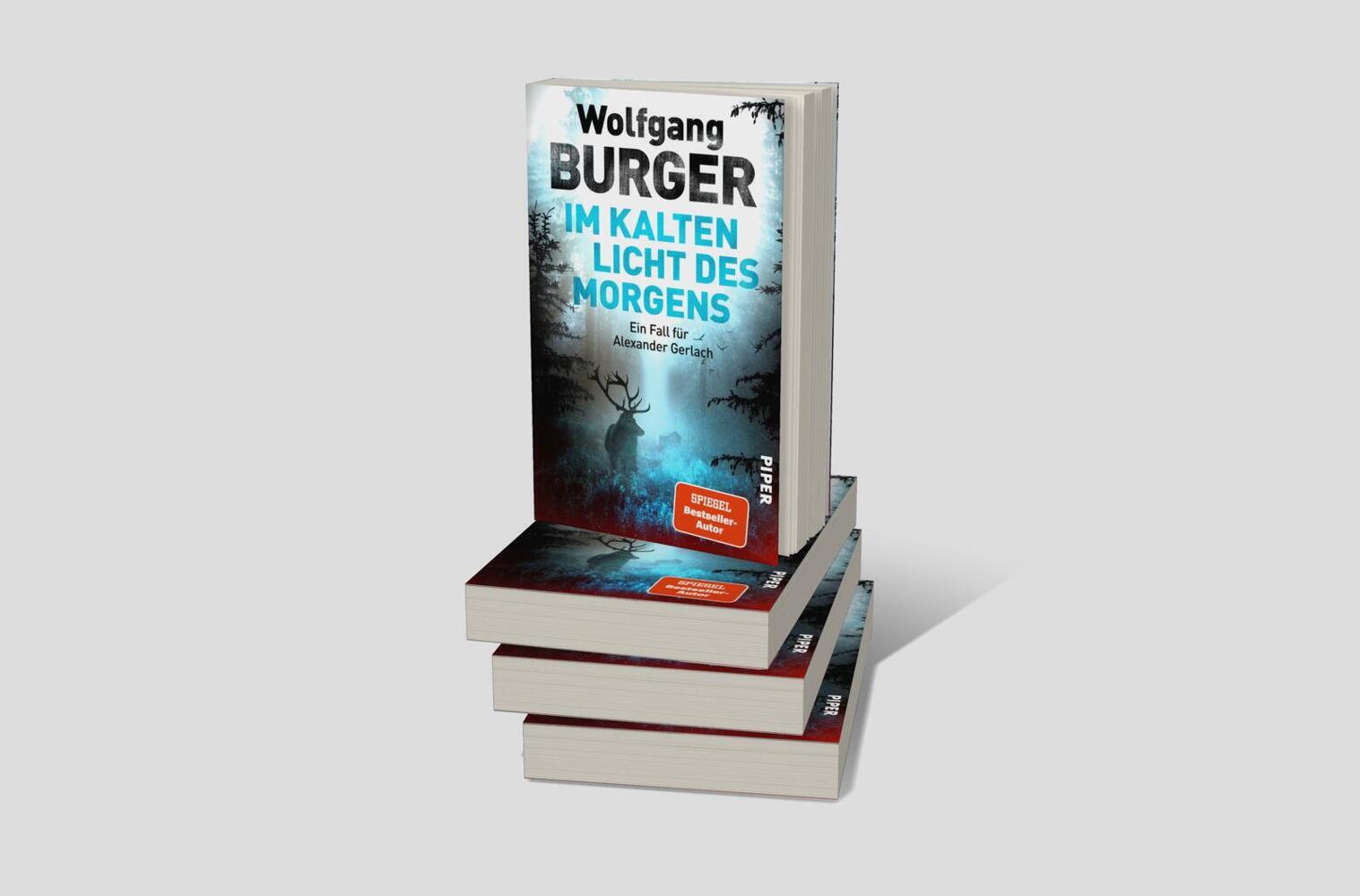 Wolfgang Burger - Im kalten Licht des Morgens » Buch