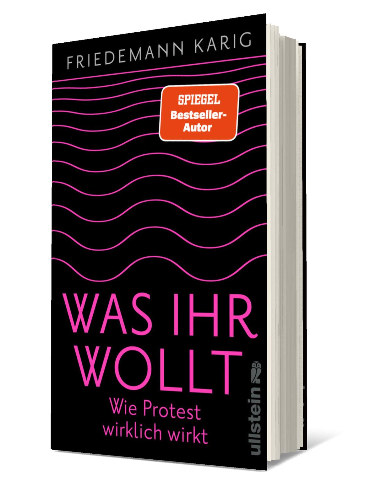 Friedemann Karig - Was ihr wollt » Buch
