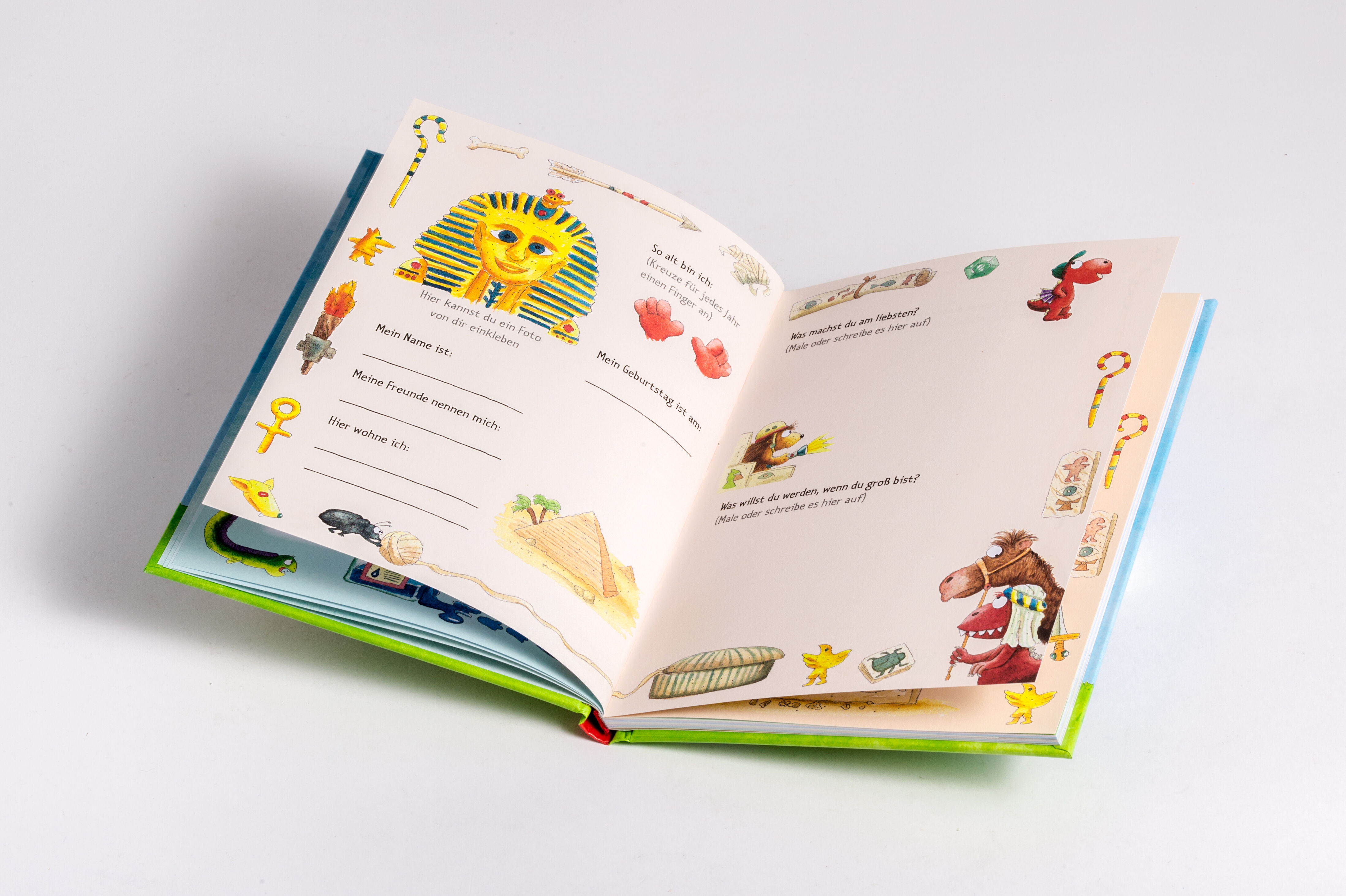 Ingo Siegner: Der kleine Drache Kokosnuss - Meine Kindergartenfreunde ...