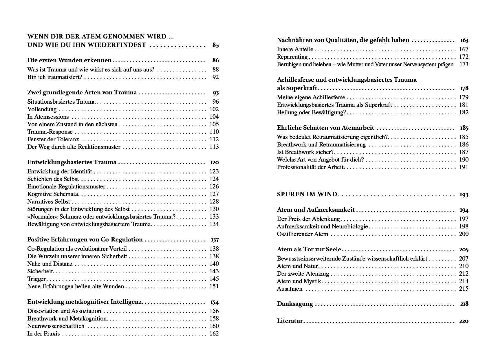 Daniel Alan - Atem – Die Lösung für dein Trauma » Buch