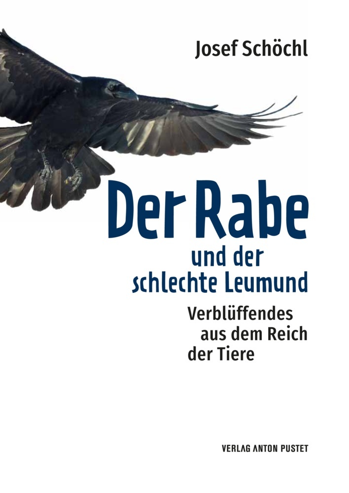 Josef Schöchl - Der Rabe und der schlechte Leumund » Buch