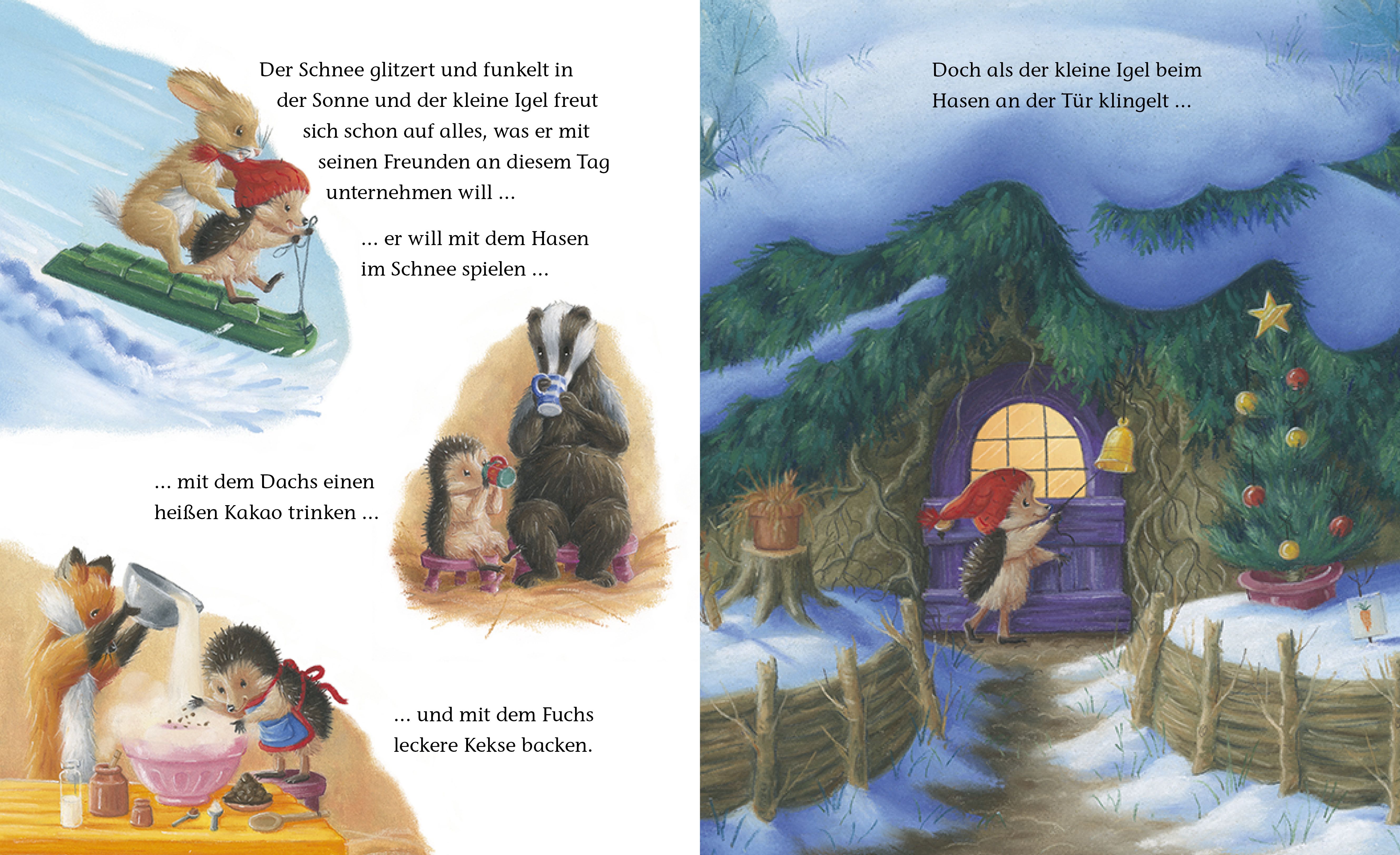 M Christina Butler - Der kleine Igel und der turbulente Weihnachtstag ...