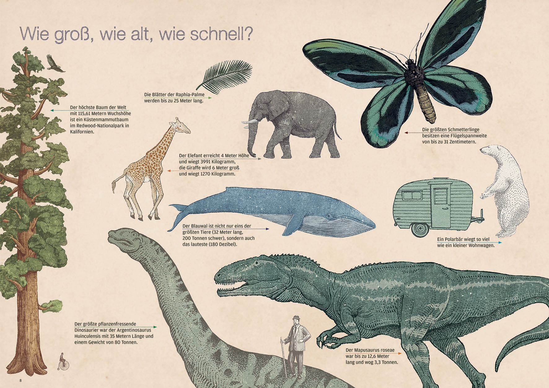 Page Tsou - Rekorde der Natur. Vom höchsten Berg zum tiefsten Meer » Buch