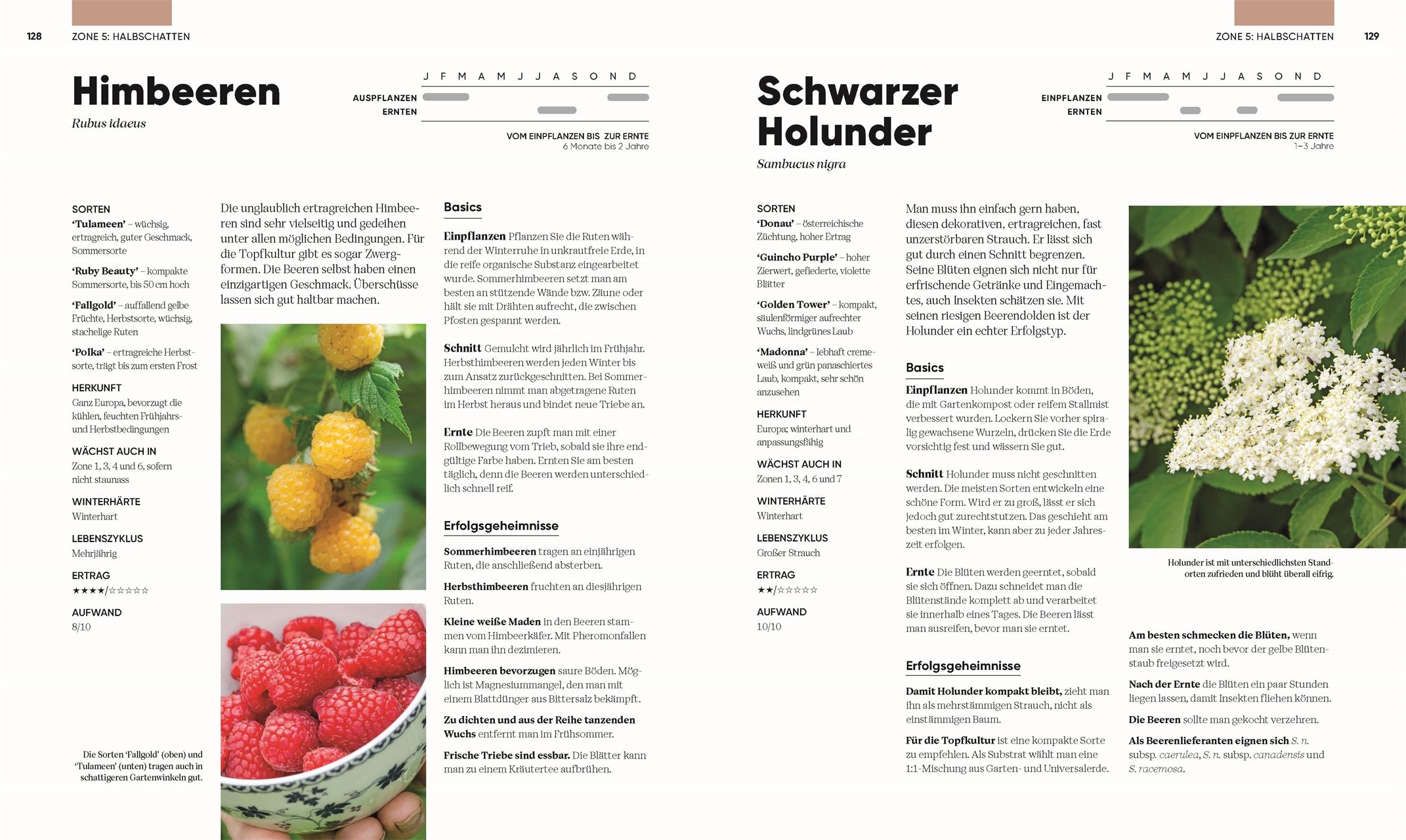 Lucy Chamberlain - Hier wächst was! » Buch