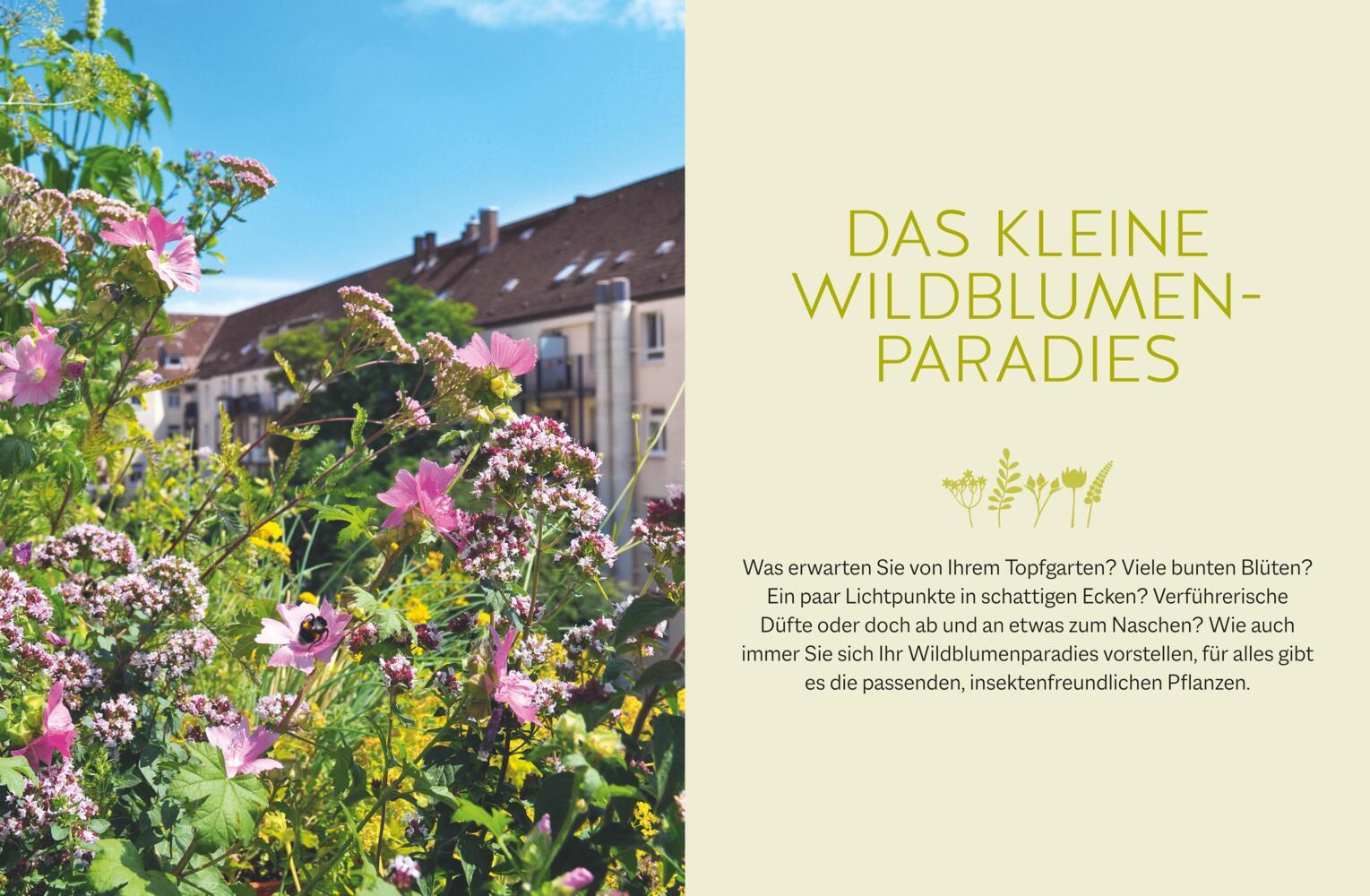 Nina Keller - Wildblumen für Balkon und Terrasse » Buch