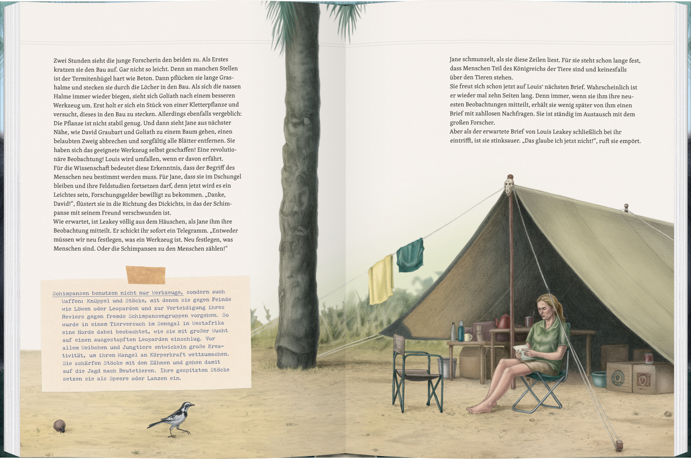 Maja Nielsen - Mit Jane Goodall bei den wilden Schimpansen » Buch