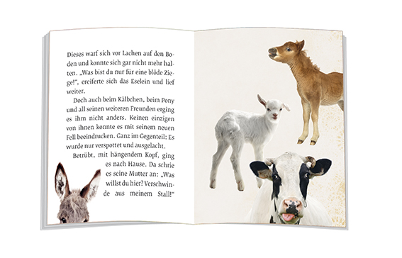 Gisela Rieger - Das Märchen vom kleinen Esel » Buch