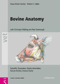 Robert E. Habel - Bovine Anatomy » Buch