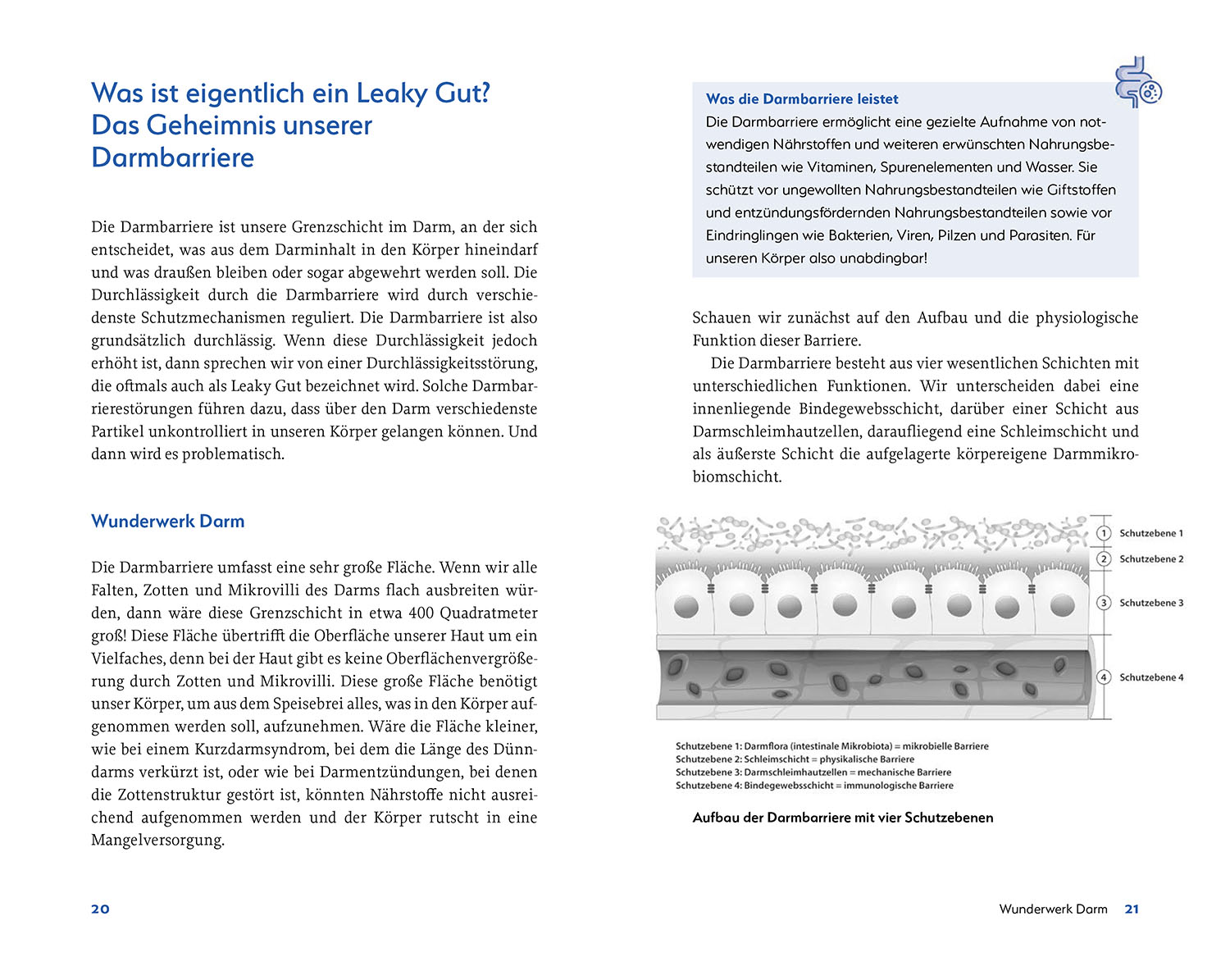 Martin Storr - Leaky Gut und SIBO » Buch