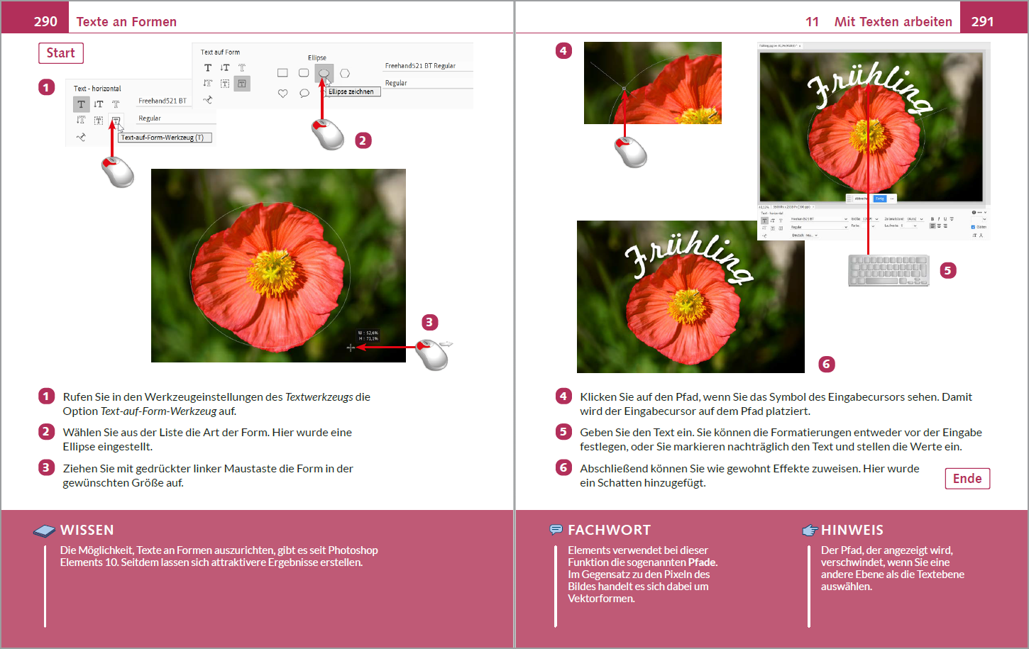 Michael Gradias - Photoshop Elements 2026 - Bild für Bild erklärt » Buch